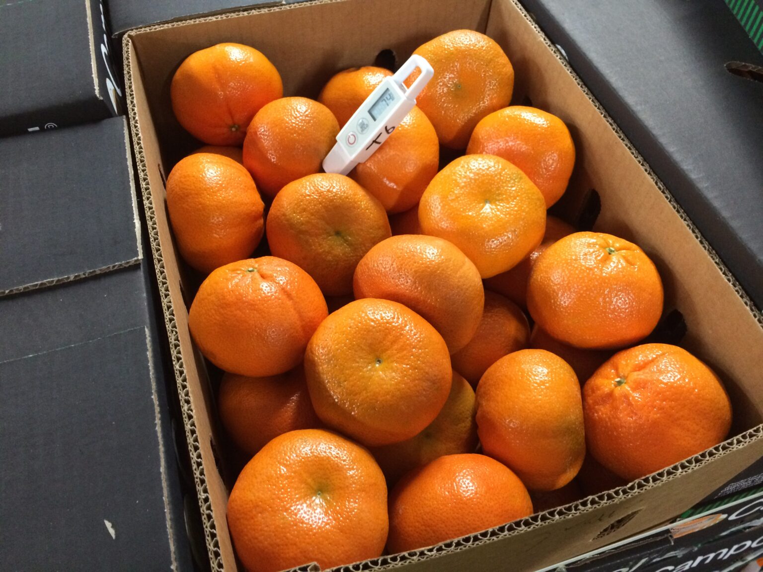 Commodity inspections - Control Union Korea